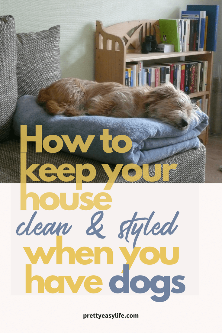 How to keep your house clean with dogs