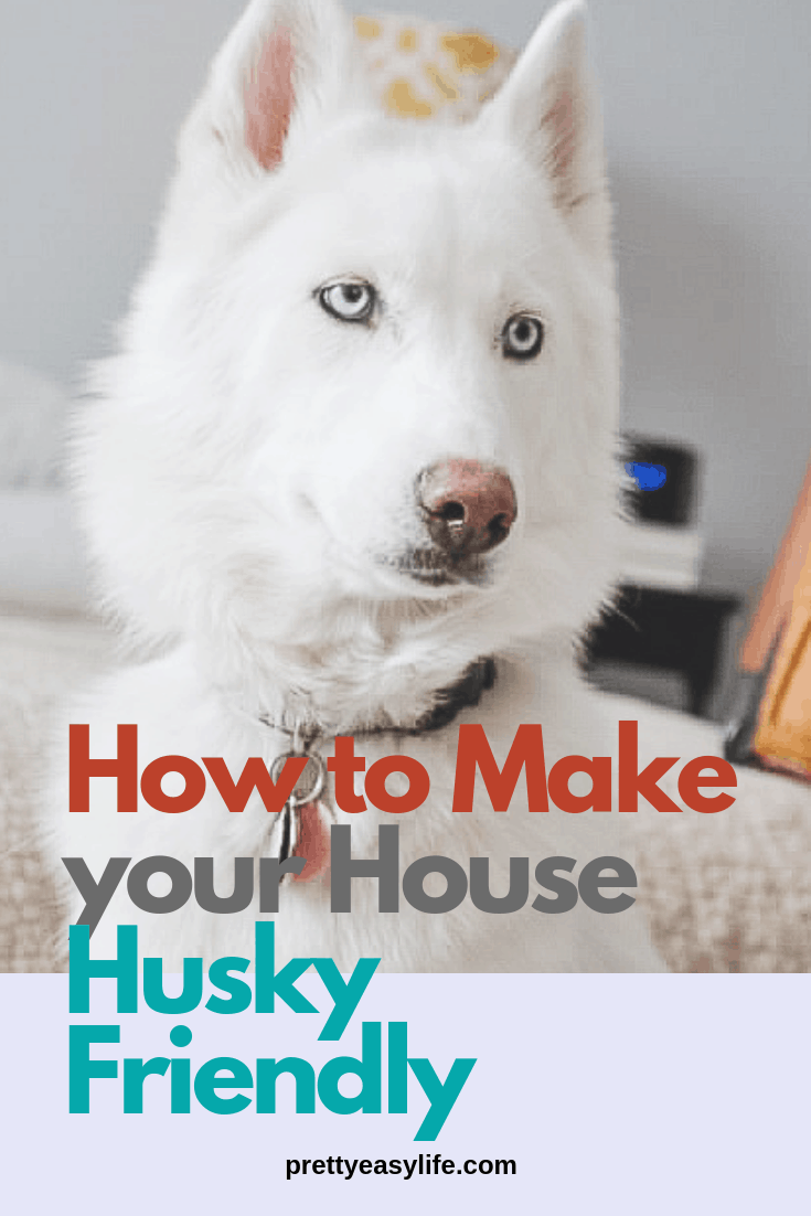 How to Make your House Husky/dog-friendly